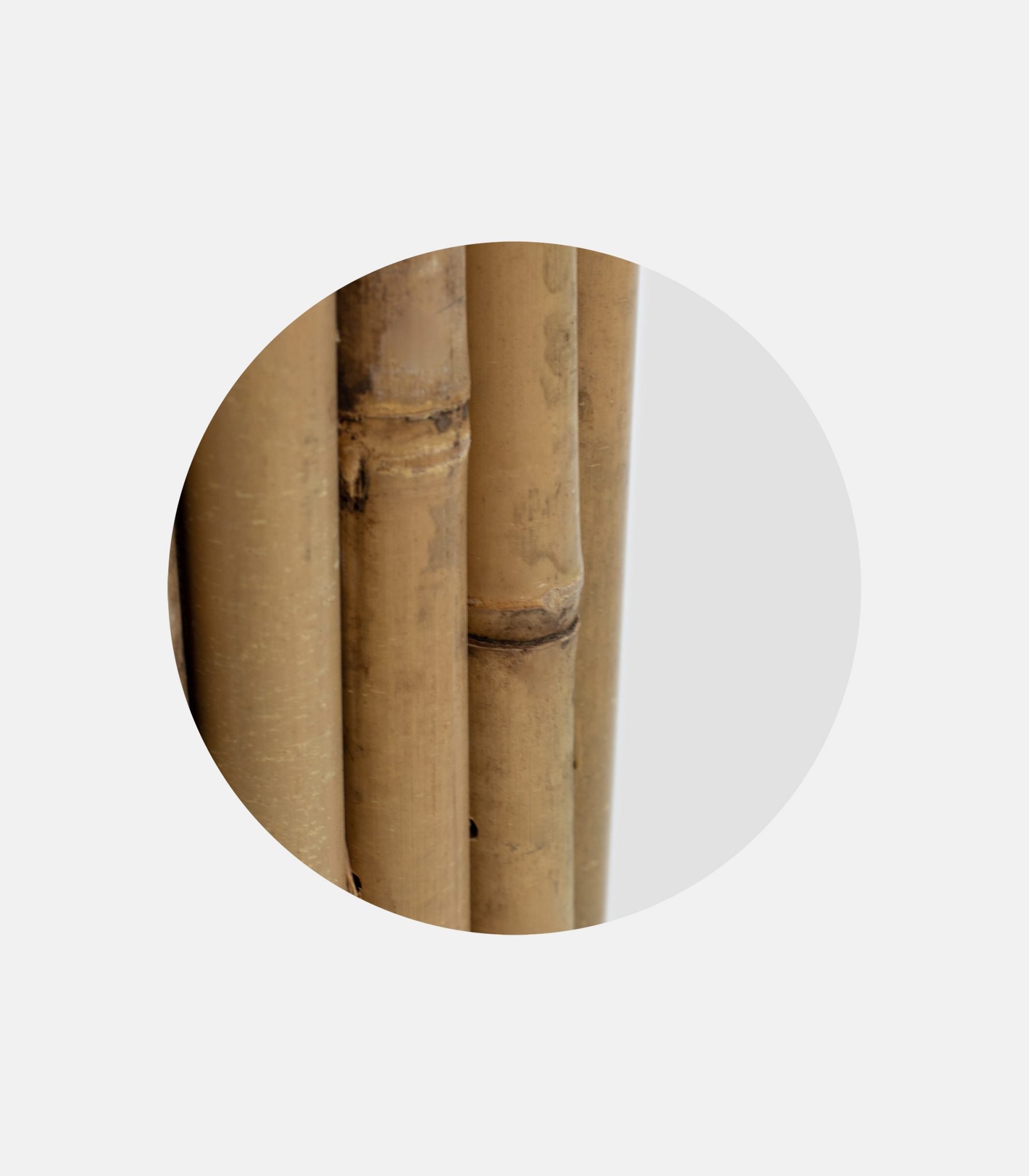 Bamboo Reed Roll Natural 20-25mm